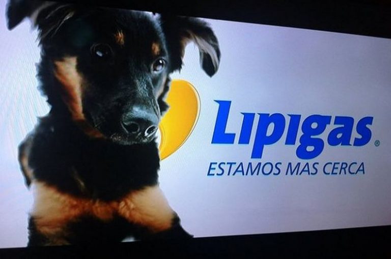 Lipigas encontró reemplazante para el difunto perro Spike