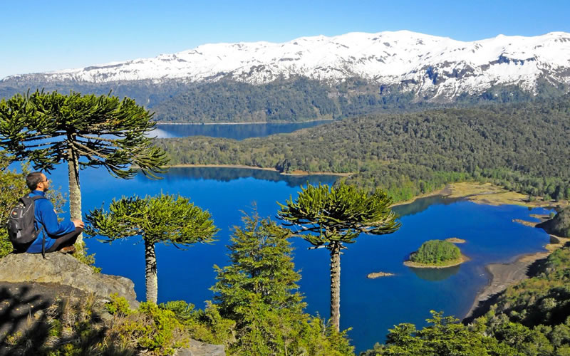 Corralco y Conguillío: las maravillas de la naturaleza sureña