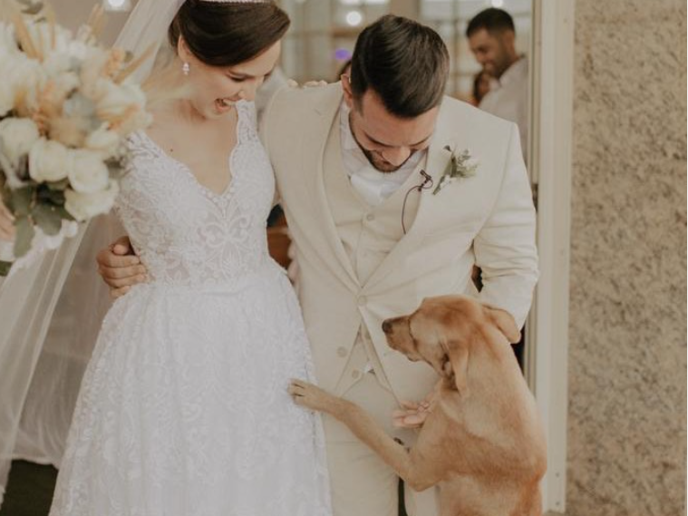 Novios terminan adoptando a un perrito que se “coló” en su matrimonio