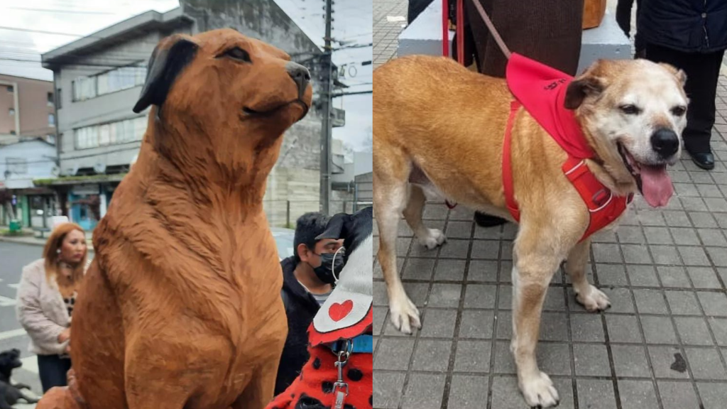 “Es un homenaje a todos los perritos”: inauguran estatua de “Don Luis ...